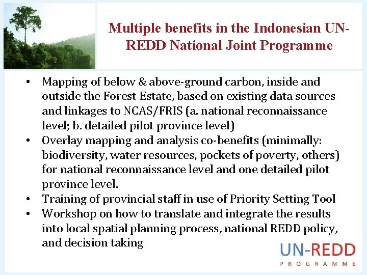 Promoting multiple benefits from REDD Muhammad Farid Outline