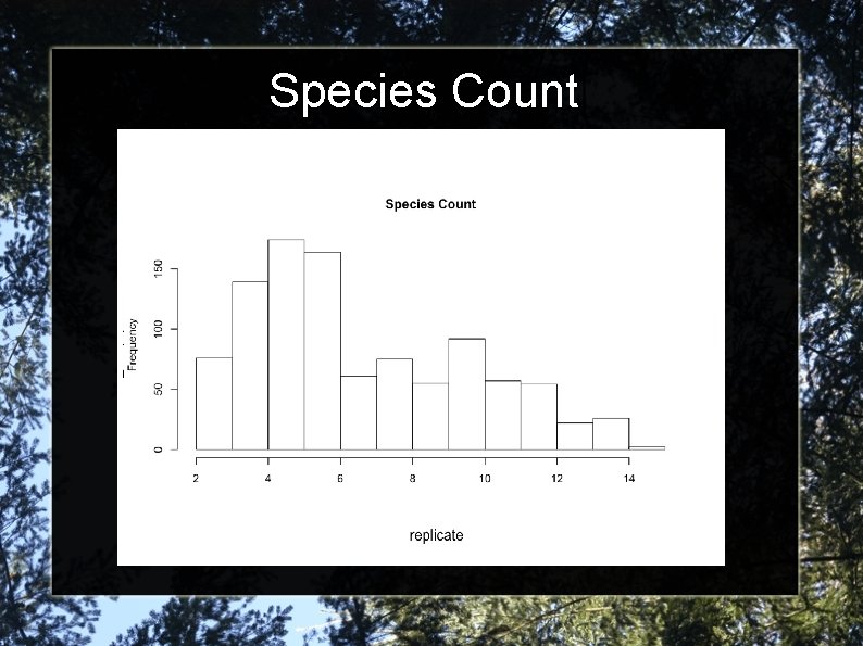 Interaction of Dynamics And Structure in Food Webs