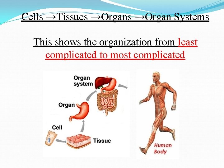 BELL RINGER Answer the following in complete sentences