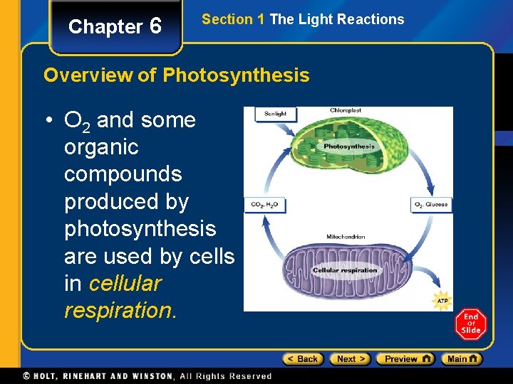 Ch 3 Biochemistry Ch 6 Photosynthesis SPIs Ch