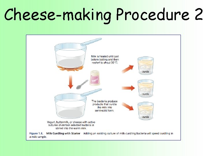 Making CheeseMaking Lab is great for Showing how