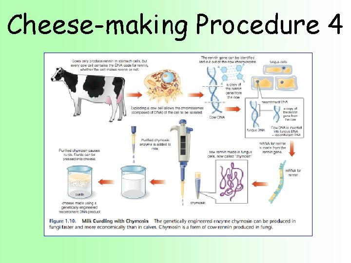 Making CheeseMaking Lab is great for Showing how