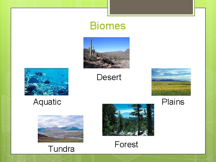 Lesson 14 10317 SWBAT identify how the biosphere