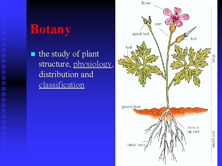 What is Biology The word Biology comes from