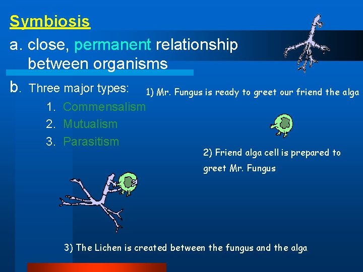 Feeding Relationships Food Chains Food Webs Headings Vocabulary