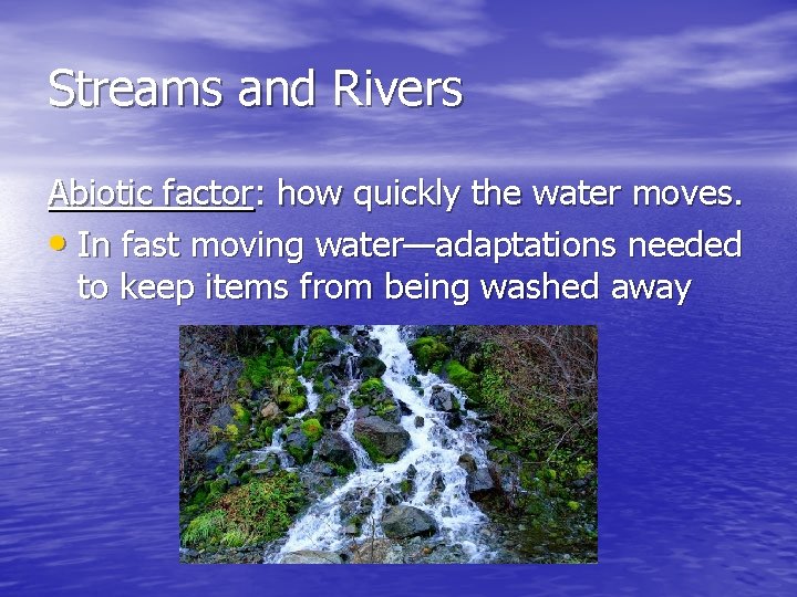 Freshwater Biome Moving Water Ecosystem Deeper Water Ecosystem