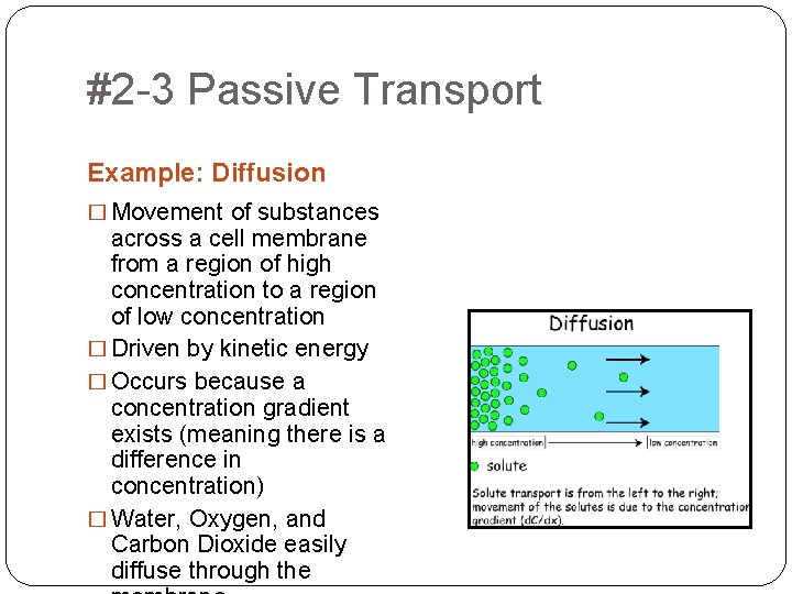 Biology Notes Topic Cell Processes Achieving Homeostasis AL