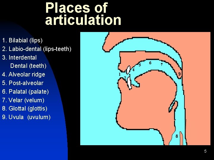 English Phonetics and Phonology Consonant sounds 1 BREAKFAST