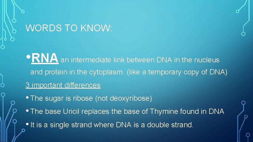 PROTEIN SYNTHESIS OBJECTIVES EXPLAIN THE BASIC PROCESSES OF