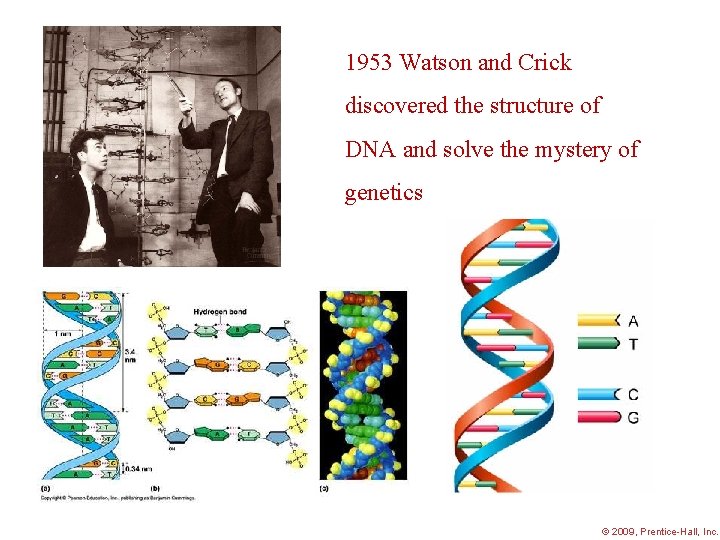 the condition that distinguishes organisms from inorganic objects