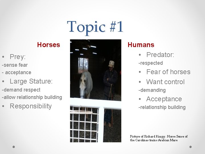 Equine Assisted Psychotherapy Senior Project by Naomi Israel