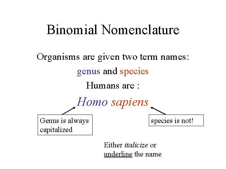 TAKS Review Taxonomy Evolution and Adaptations Binomial Nomenclature