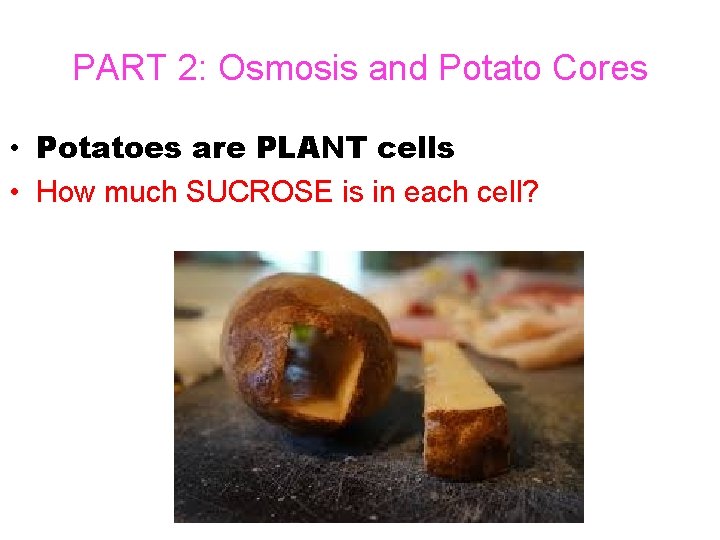 PreLab 2 Diffusion and Osmosis Introduction to Water