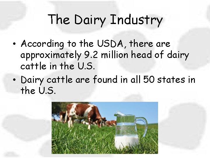 Dairy Production Objectives A B C D E