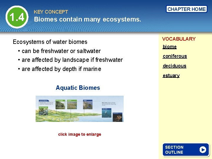 CHAPTER Ecosystems and Biomes the BIG idea Matter