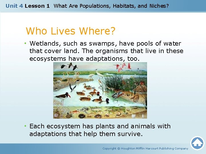 Unit 4 Lesson 1 What Are Populations Habitats