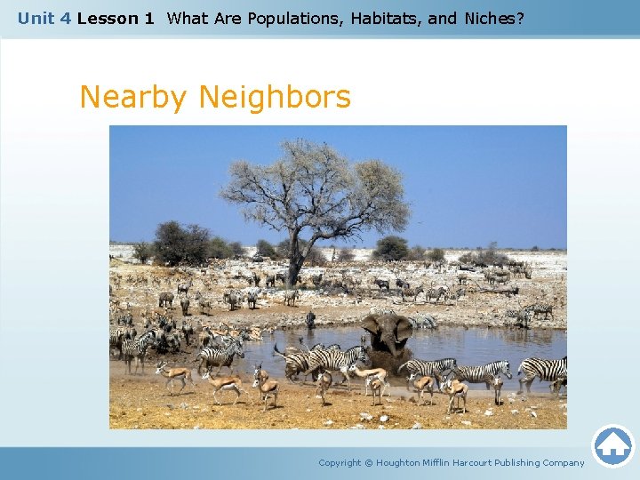 Unit 4 Lesson 1 What Are Populations Habitats
