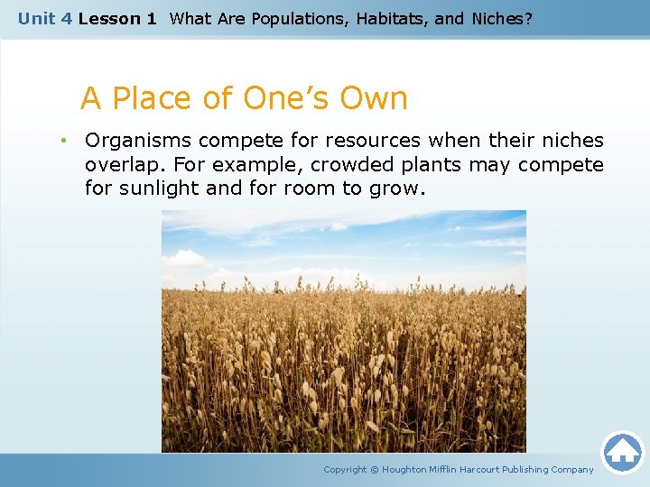 Unit 4 Lesson 1 What Are Populations Habitats