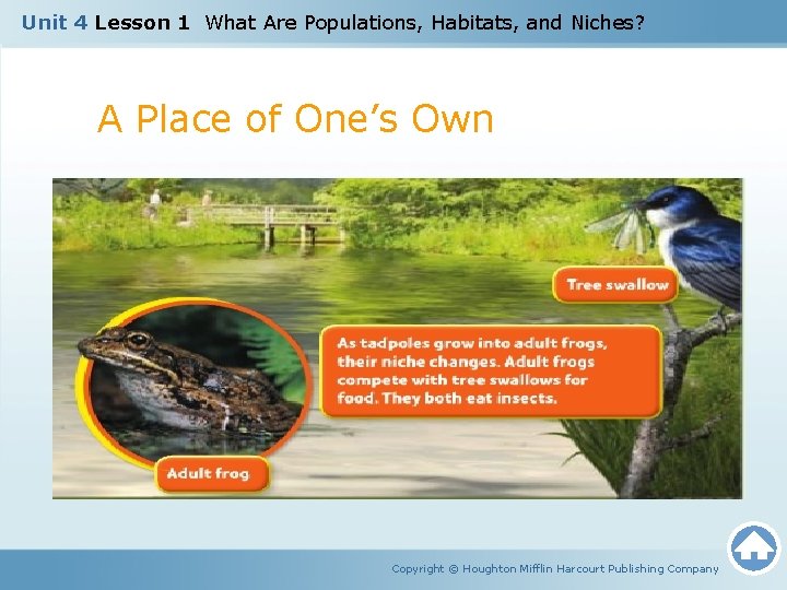 Unit 4 Lesson 1 What Are Populations Habitats