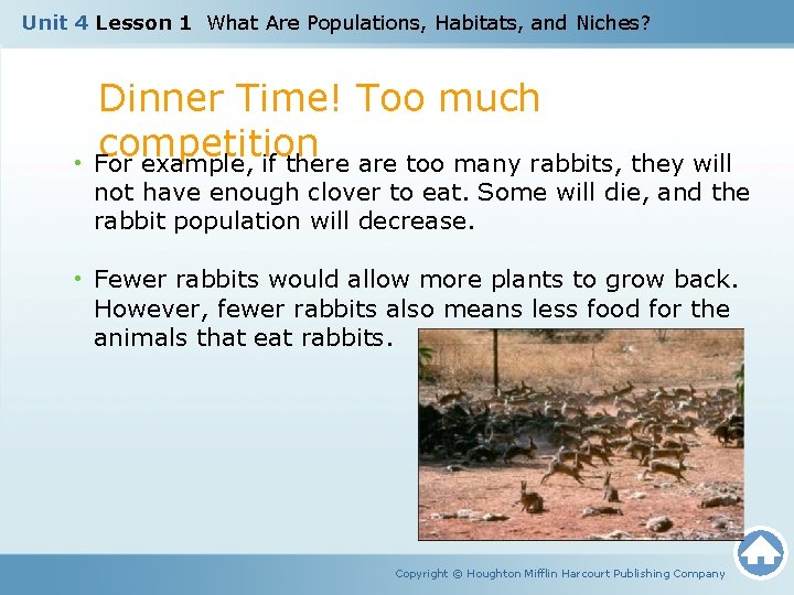 Unit 4 Lesson 1 What Are Populations Habitats