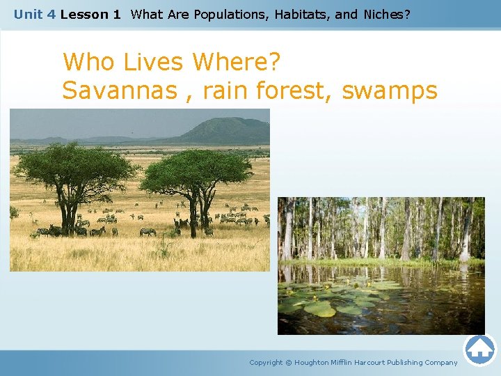 Unit 4 Lesson 1 What Are Populations Habitats