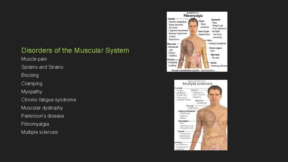 Muscular System Presented by Megan and Trisha Introduction