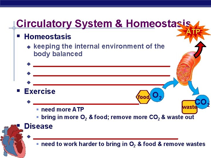 Circulatory System Blood Vessels Regents Biology 2006 2007