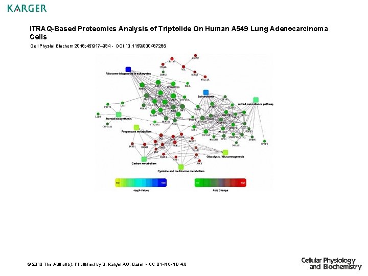 ITRAQBased Proteomics Analysis of Triptolide On Human A