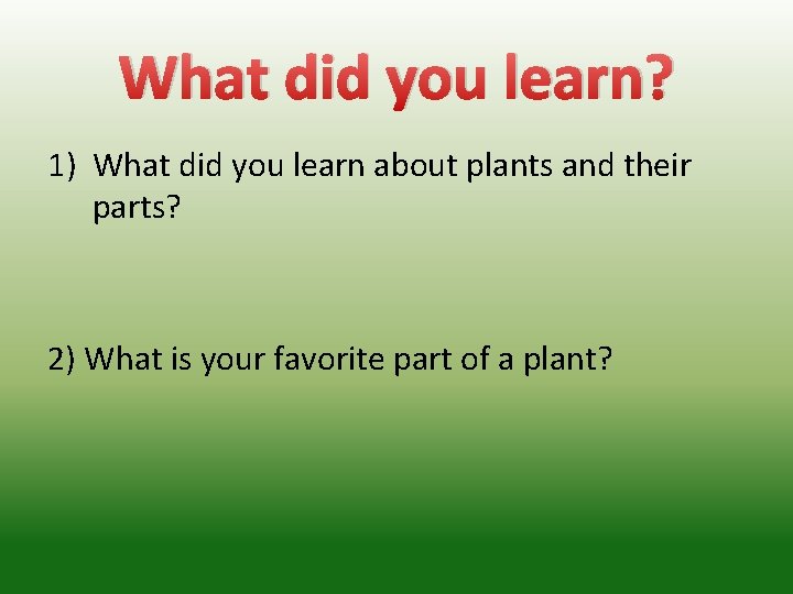 Plant Parts Labeling Plants Unit Plants Lesson 2