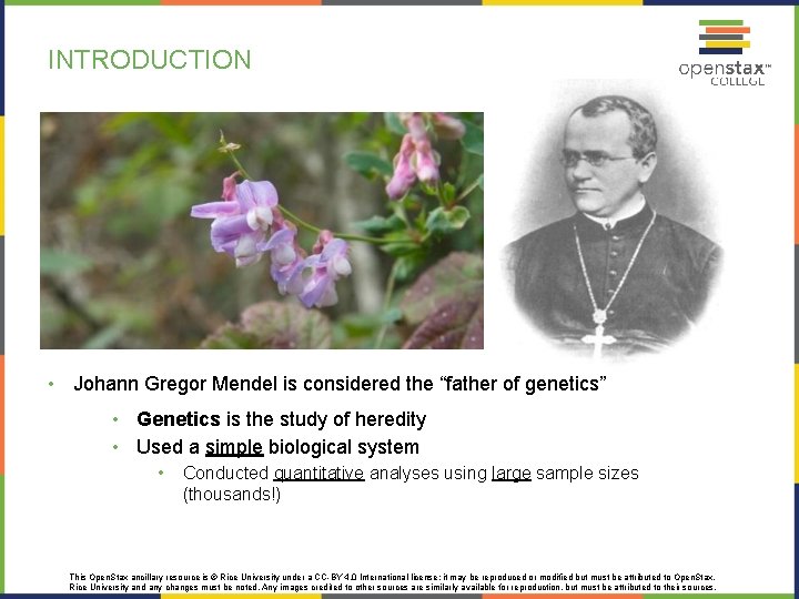 BIOLOGY 2 E Chapter 12 MENDELS EXPERIMENTS AND