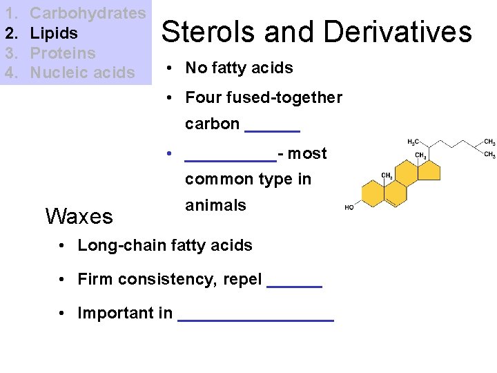 Chapter 3 Carbon Compounds In Cells Producers Capture