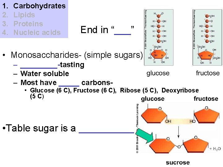 Chapter 3 Carbon Compounds In Cells Producers Capture