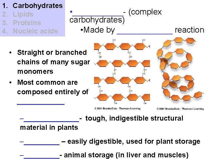 Chapter 3 Carbon Compounds In Cells Producers Capture