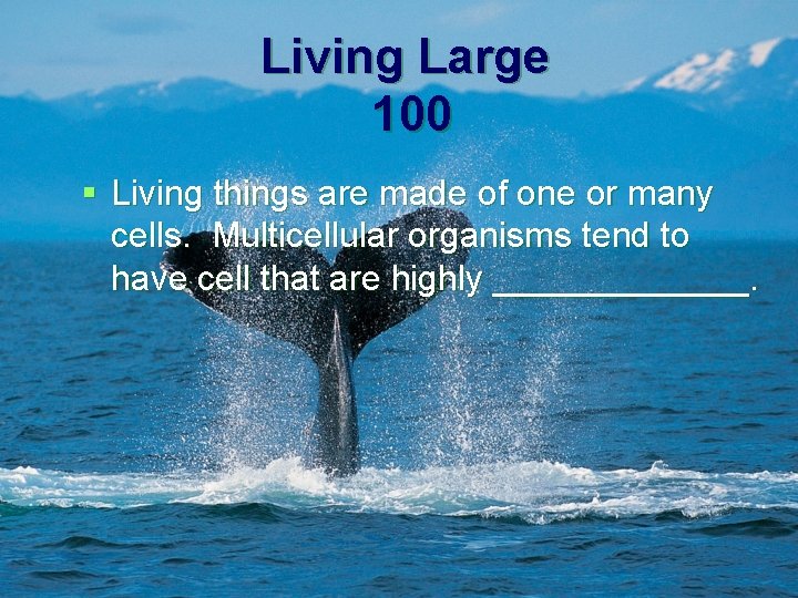 Chapter Review Jeopardy Life Science Living Large Bare