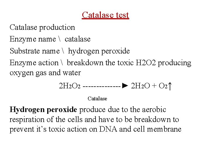 Biochemical Tests Medical Microbiology Lab 6 Oxidase Test