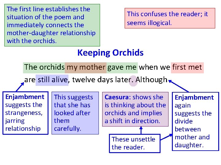 Keeping Orchids Jackie Kay The persona probably Kay