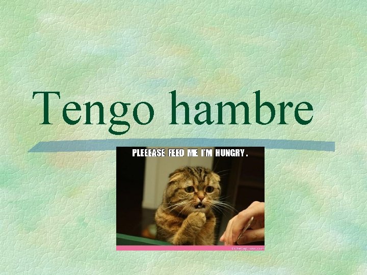 la cena las bebidas el bistec los pasteles