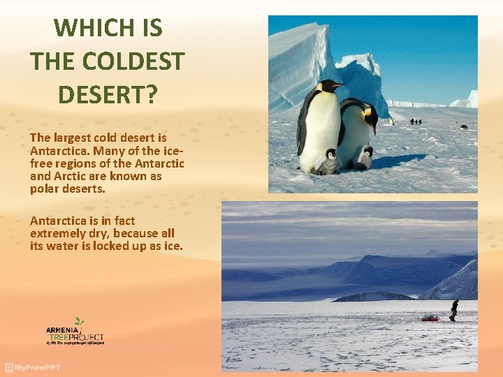 LEARNING ABOUT ECOSYSTEMS WITH ATP DESERT Prepared by