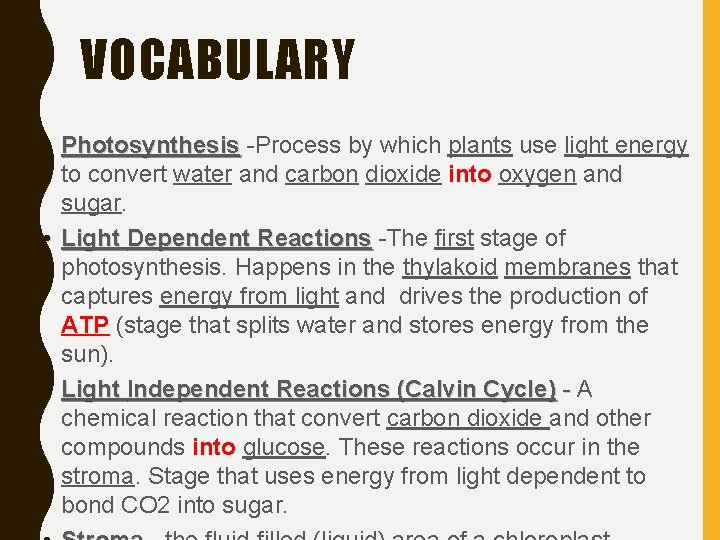 PHOTOSYNTHESIS VOCABULARY Photosynthesis Process by which plants use
