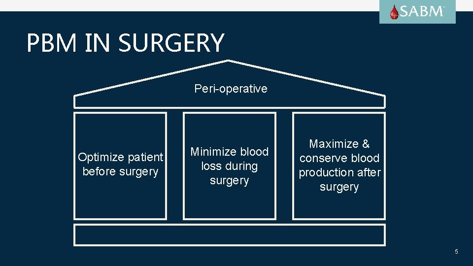 WHAT IS PATIENT BLOOD A Patients Guide MANAGEMENT