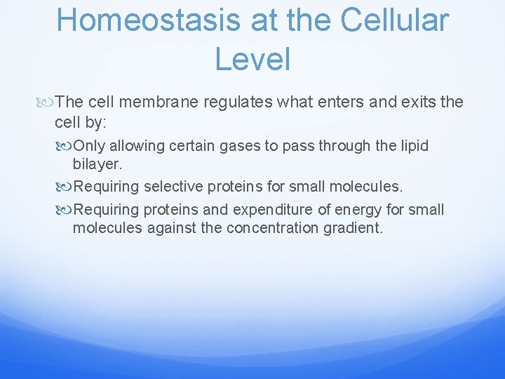 The Cell Membrane Maintaining Homeostasis Cell Membrane Function