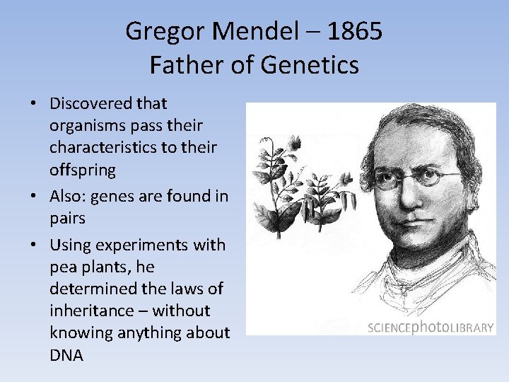 DNA Chapter 4 Biology 12 textbook Molecule of