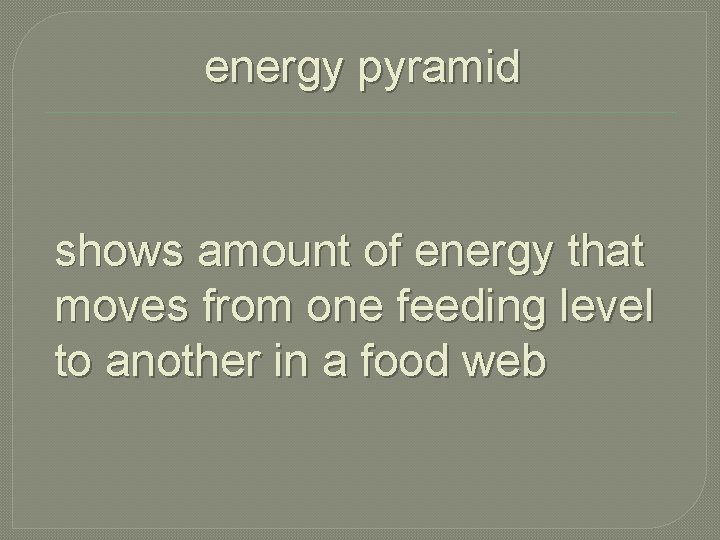 Biomes Energy Flow and Succession Bingo food web