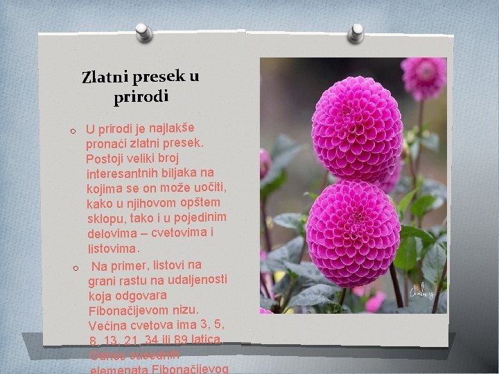 Zlatni presek O Zlatni boanski presek predstavlja najsavreniju