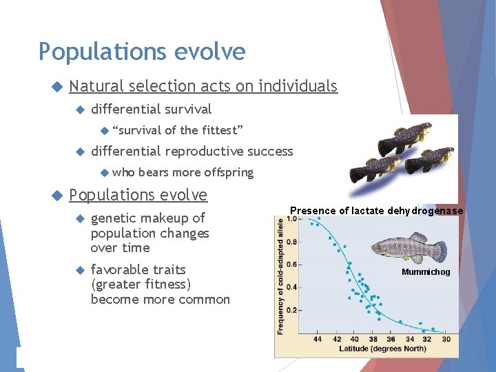 Evolution of Populations AP Biology Warm Up 122