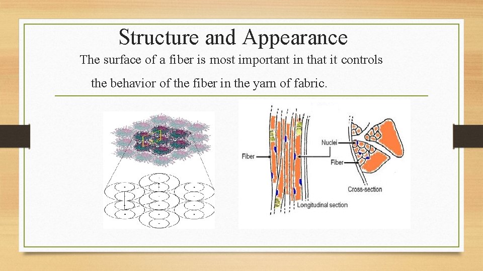 Properties of Textile Fibers Properties Outline Structure and