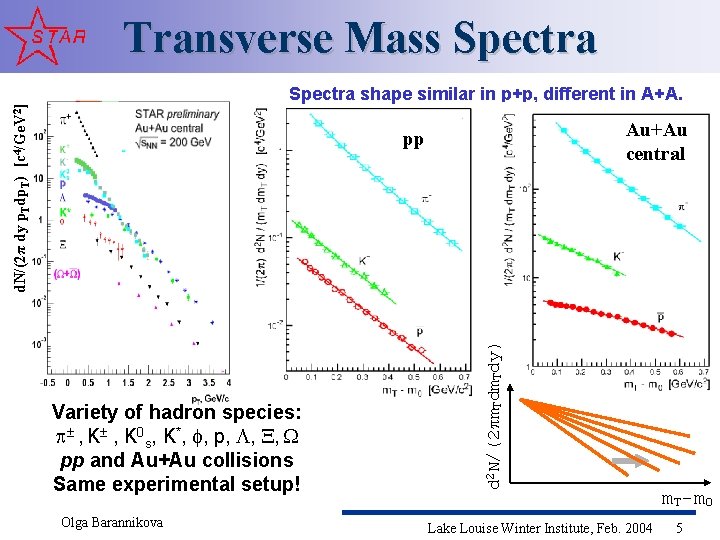 Collision Dynamics at RHIC Olga Barannikova Purdue University