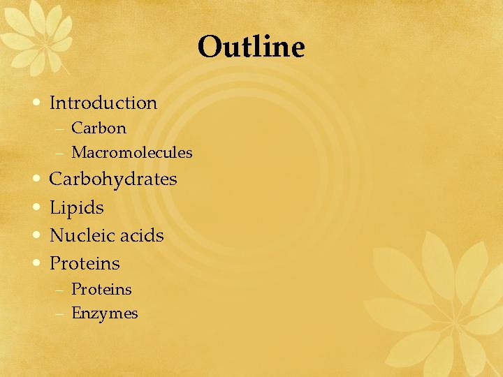 Macromolecules Moretz Biology Ch 2 Outline Introduction Carbon