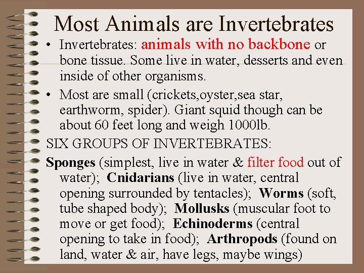INVERTEBRATE ANIMALS MOST ANIMALS ARE INVERTEBRATES CNIDARIANS WORMS