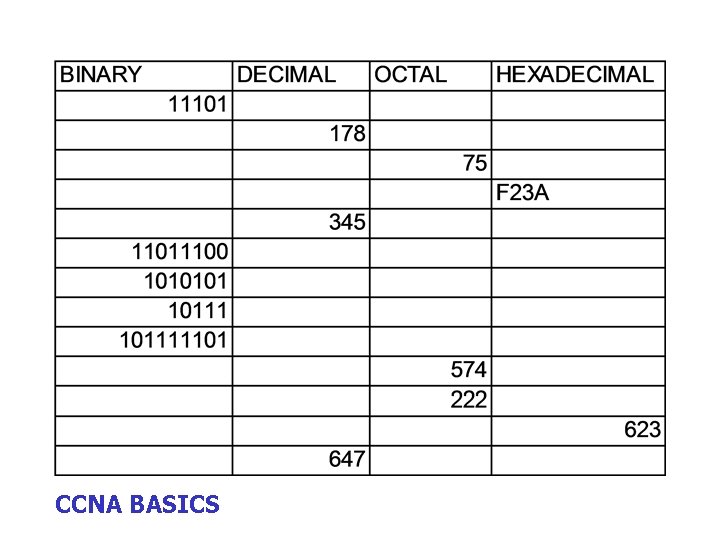 CHAPTER 4 IP ADDRESSING CCNA BASICS SOME BASIC
